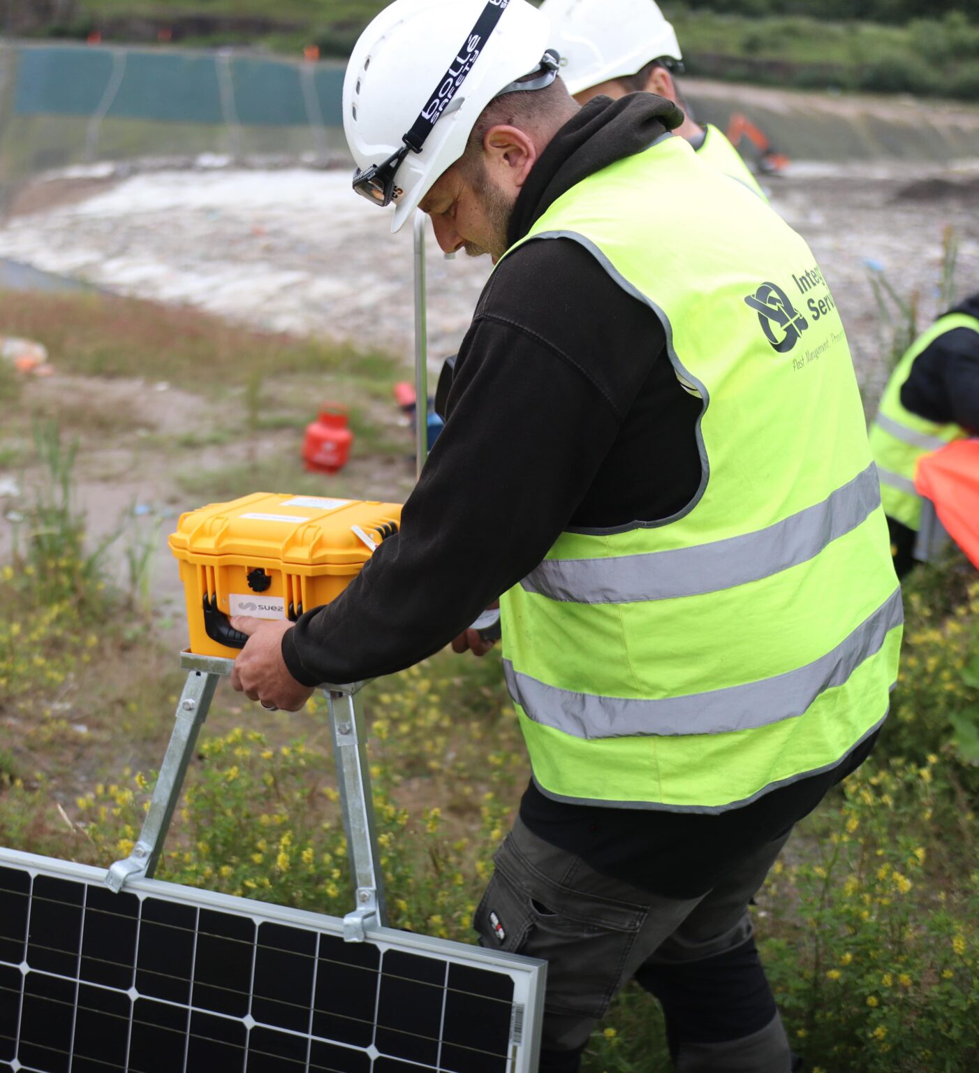 Bird Alert: The UK's Number 1 Bird Scarer - Integrum